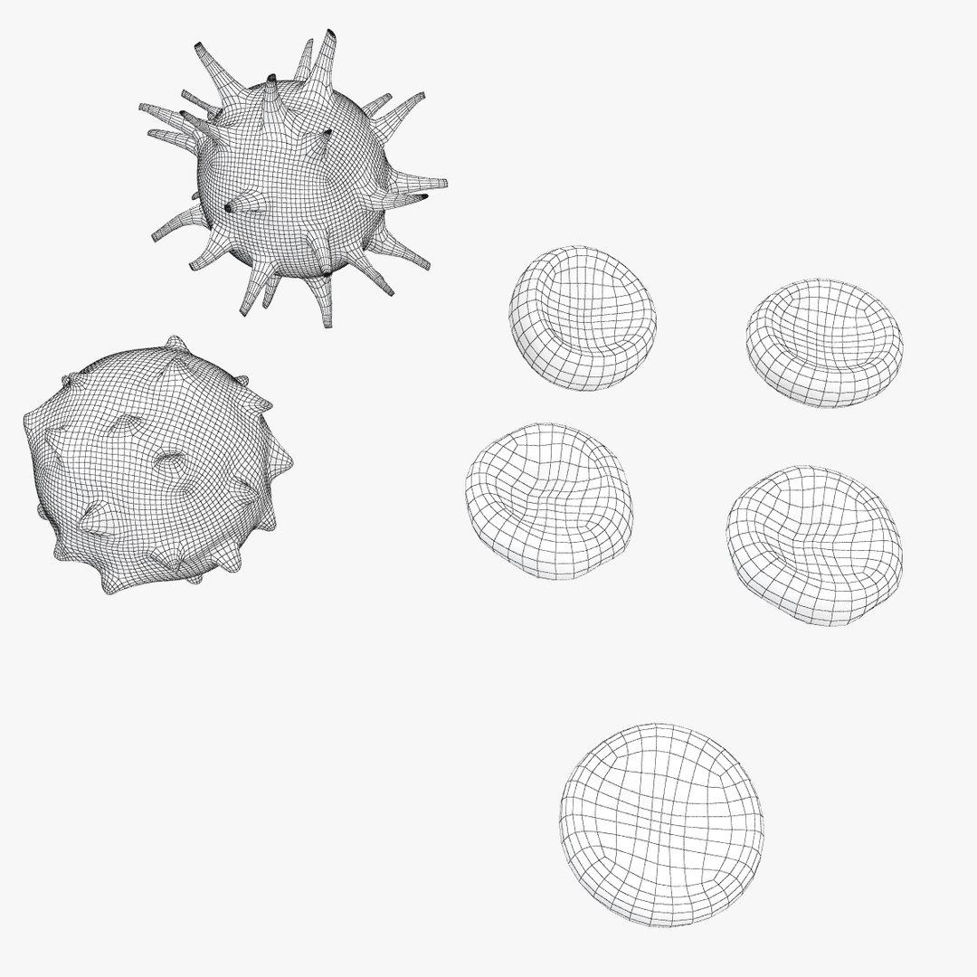 3D blood cells model - TurboSquid 1164381