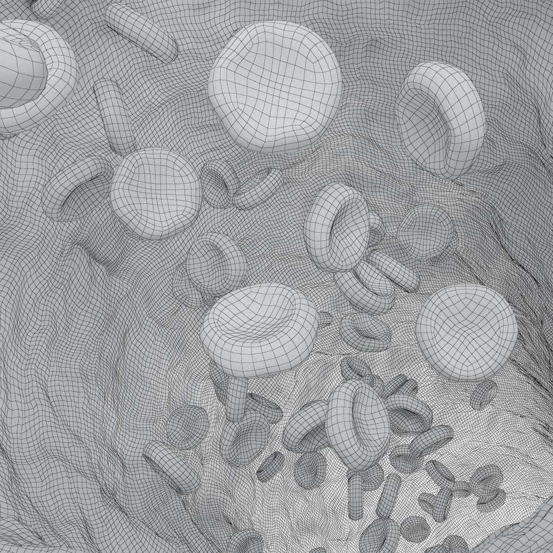 3D blood cells model - TurboSquid 1164381