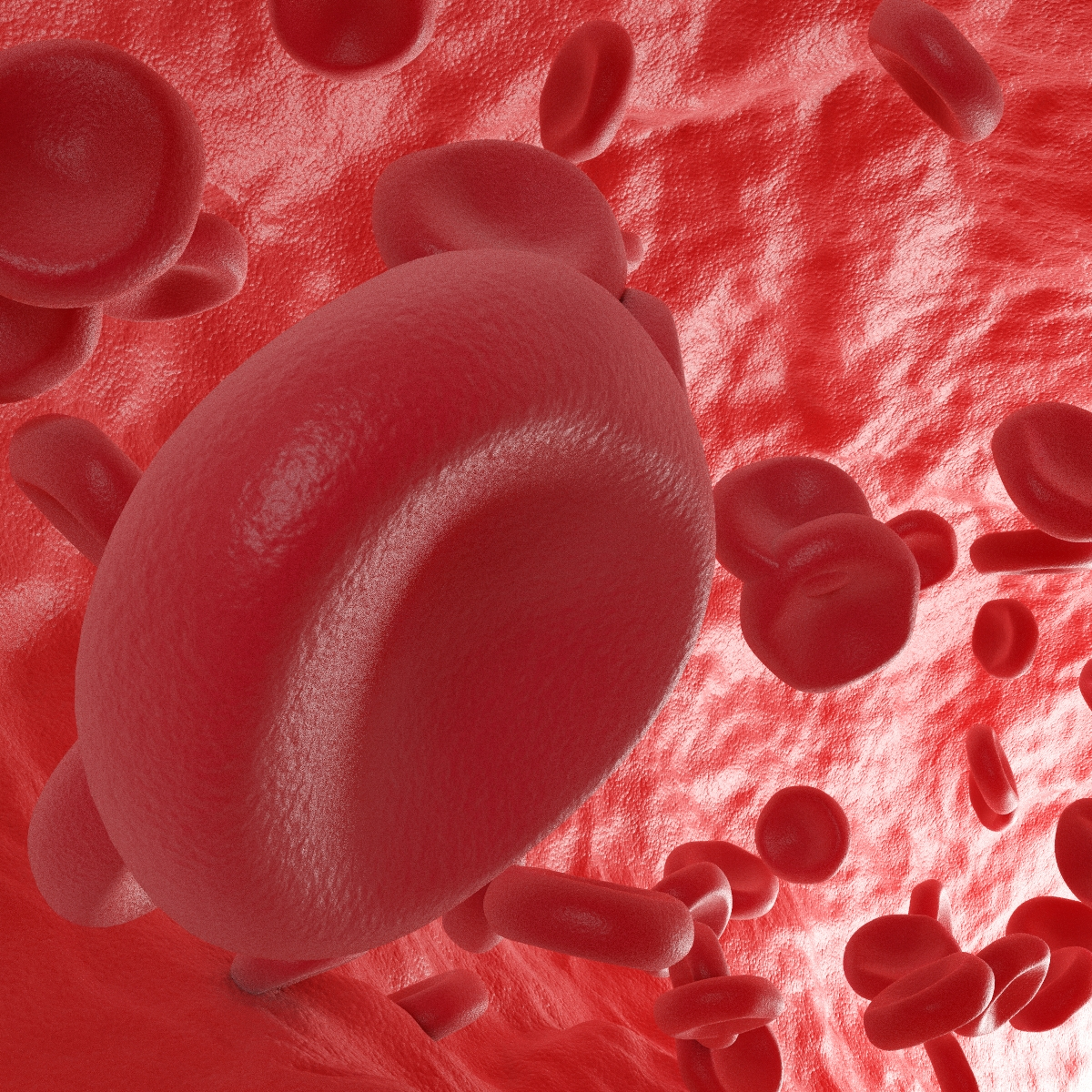 3D blood cells model - TurboSquid 1164381