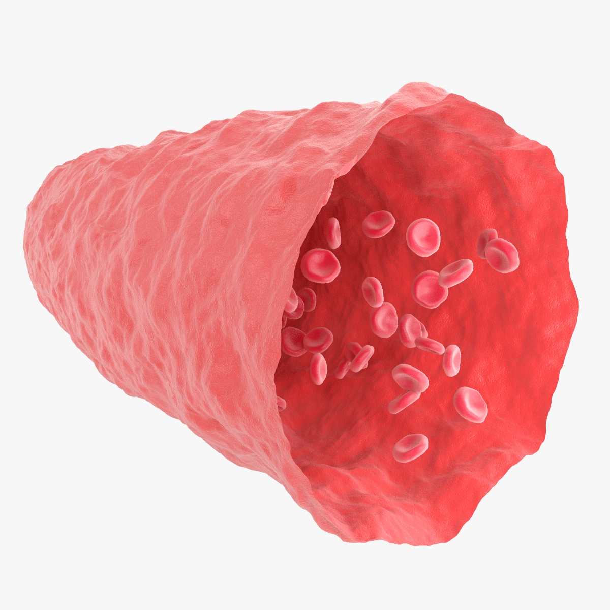 3D blood cells model - TurboSquid 1164381