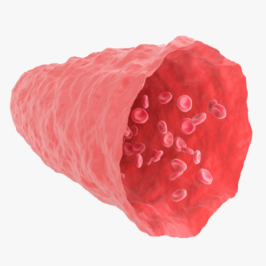 3D blood cells model - TurboSquid 1164381