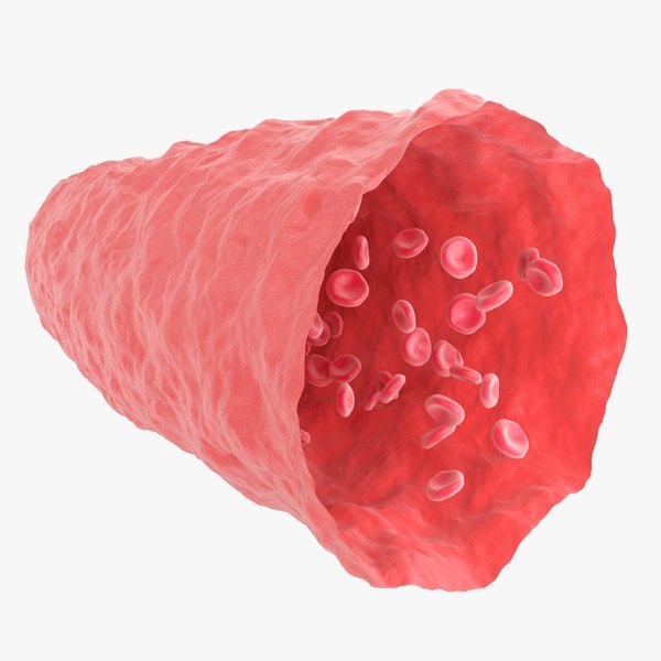 3D blood cells model - TurboSquid 1164381