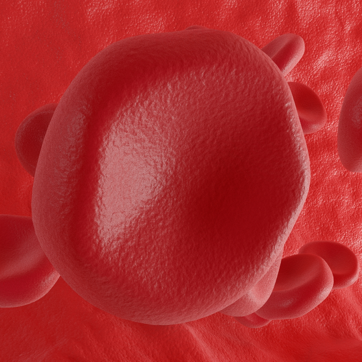 3D blood cells model - TurboSquid 1164381
