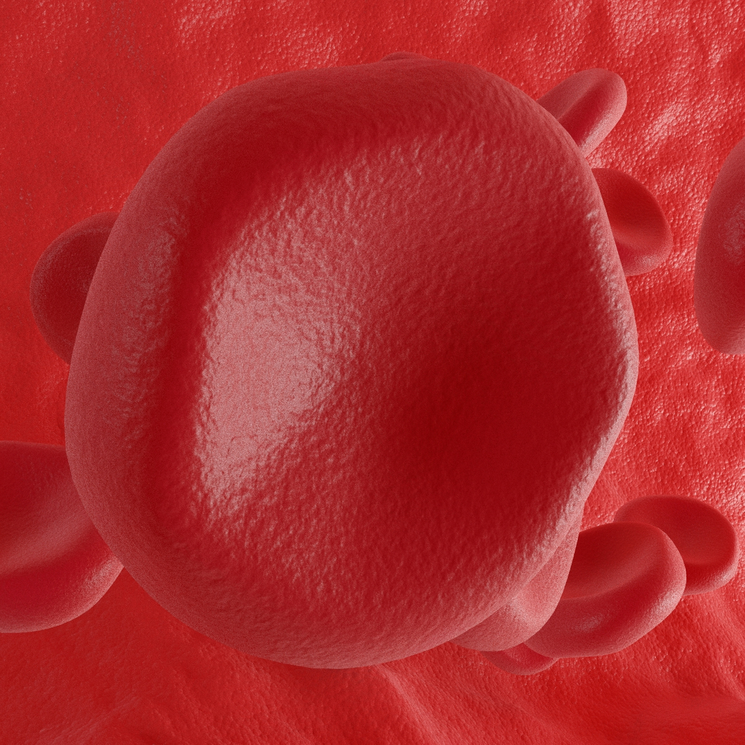3D blood cells model - TurboSquid 1164381