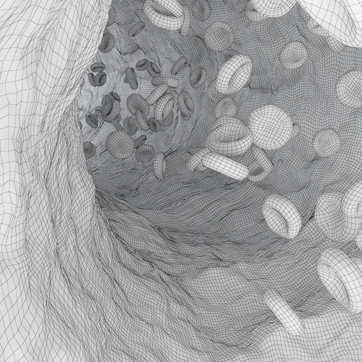 3D blood cells model - TurboSquid 1164381