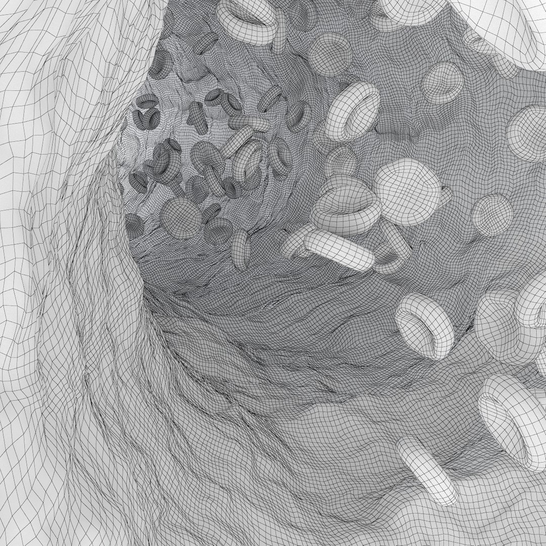 3D blood cells model - TurboSquid 1164381