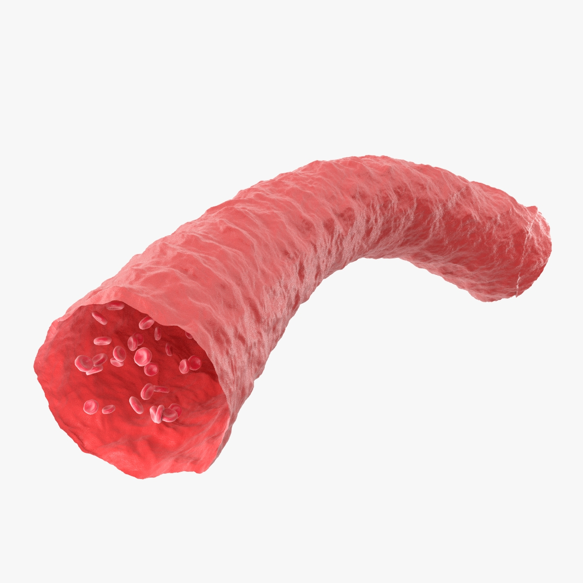 3D blood cells model - TurboSquid 1164381