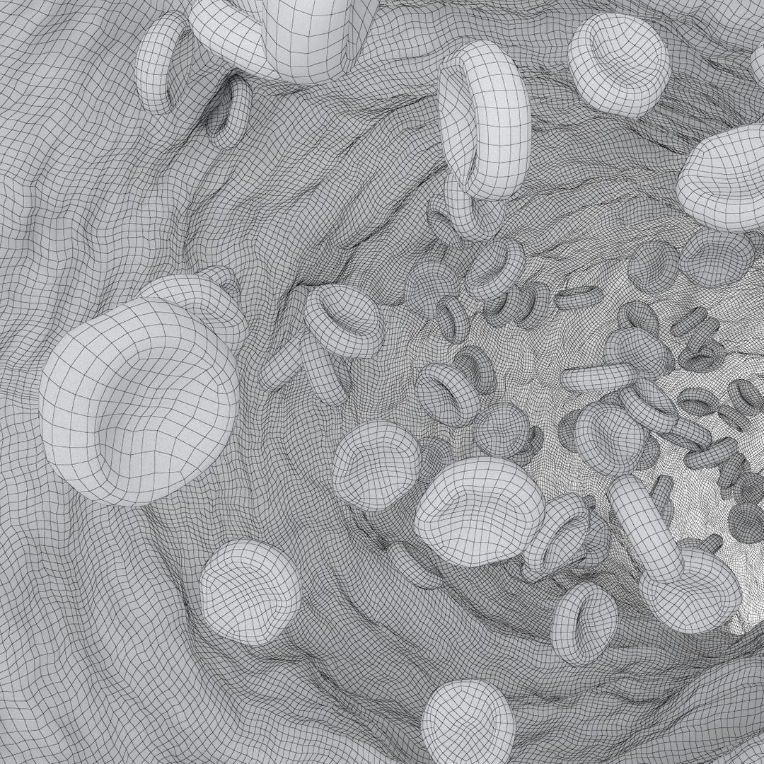 3D blood cells model - TurboSquid 1164381