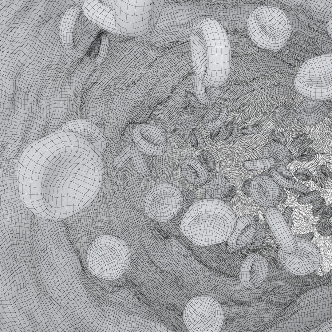 3D blood cells model - TurboSquid 1164381