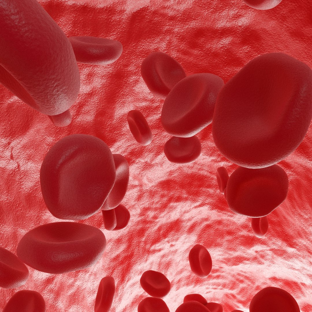 3D blood cells model - TurboSquid 1164381