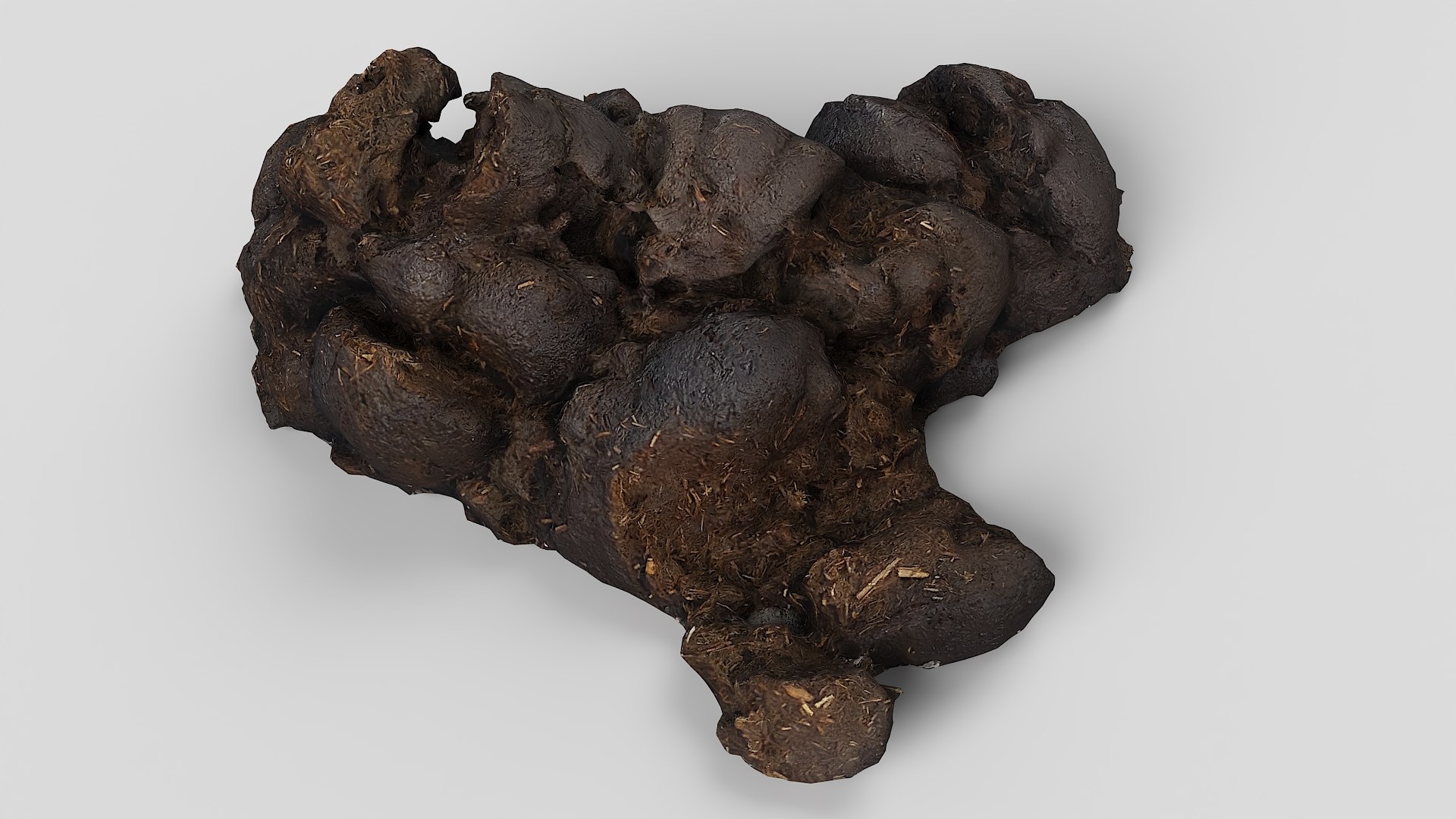Feces Poop Collection 01 3D Model - TurboSquid 2142568