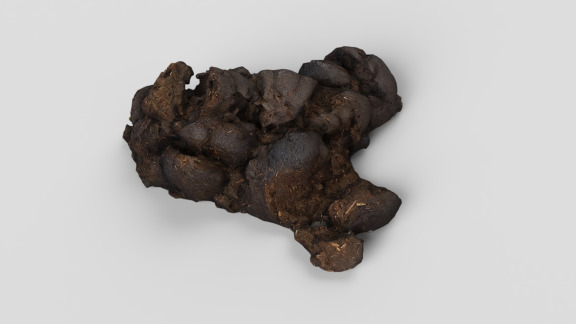 Feces Poop Collection 01 3D Model - TurboSquid 2142568