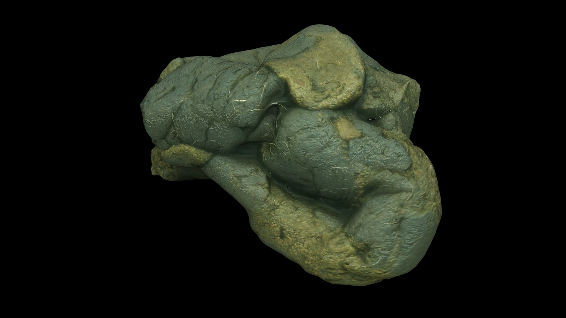 Feces Poop Collection 01 3D Model - TurboSquid 2142568