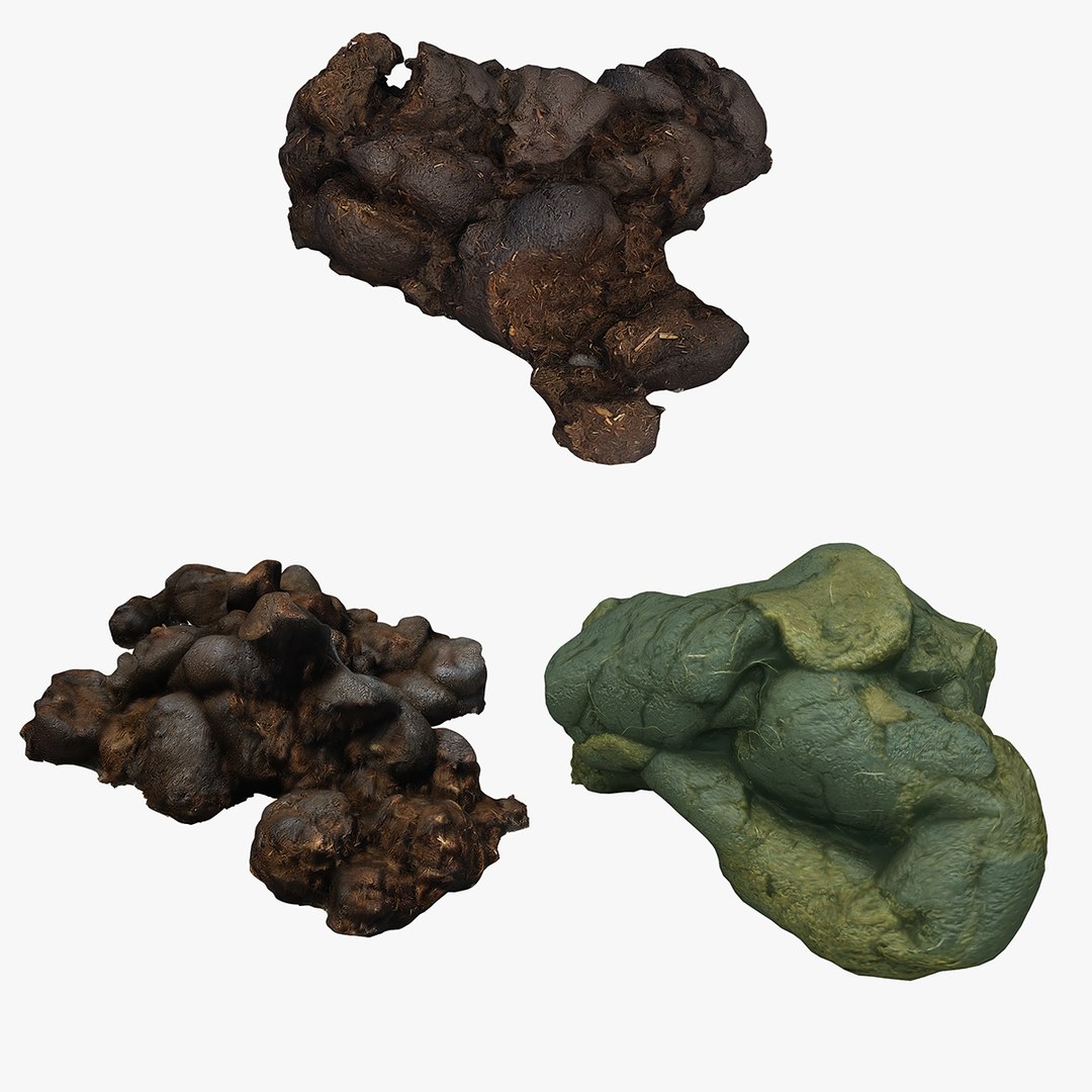 Feces Poop Collection 01 3D Model - TurboSquid 2142568