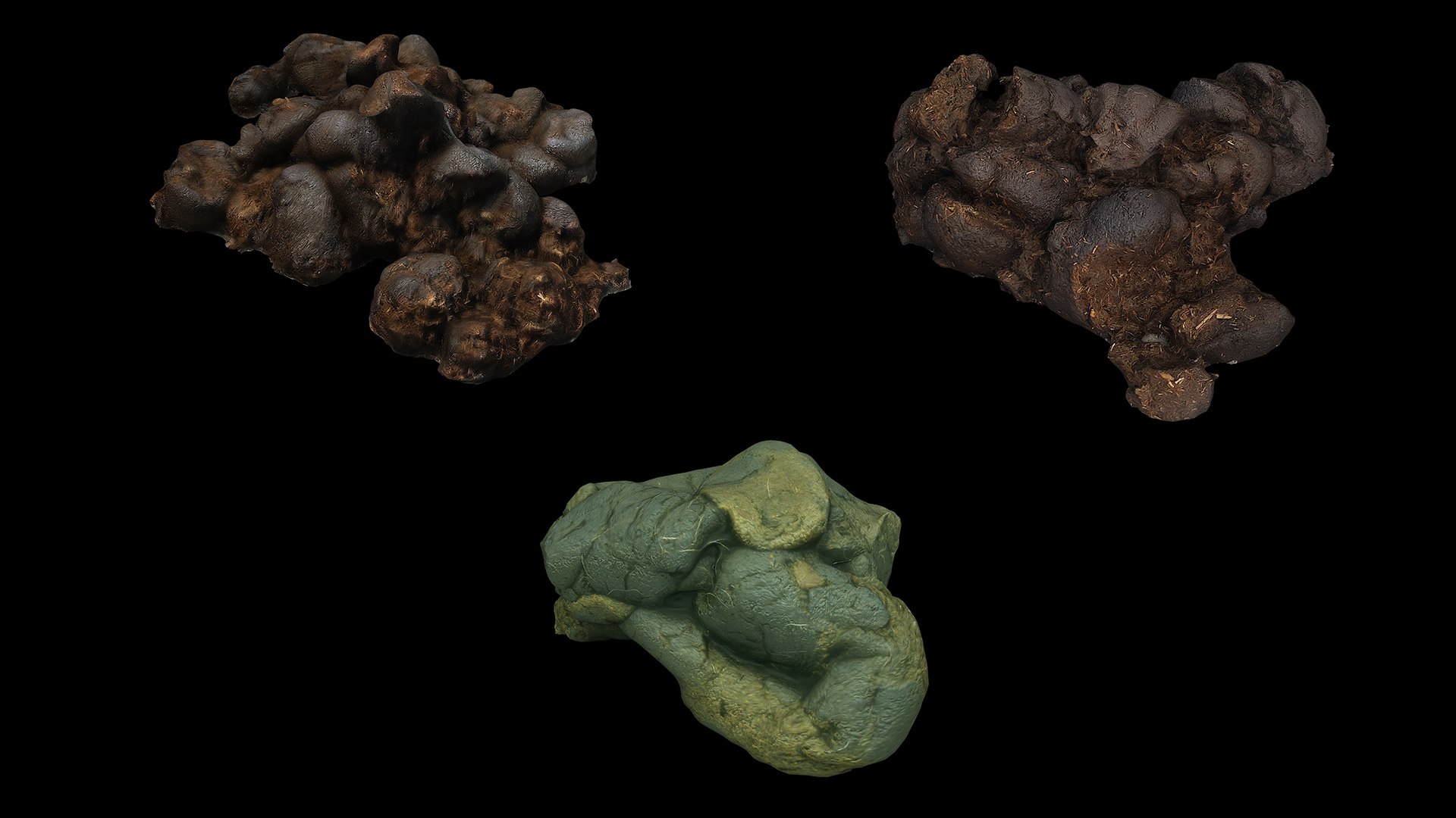 Feces Poop Collection 01 3D Model - TurboSquid 2142568