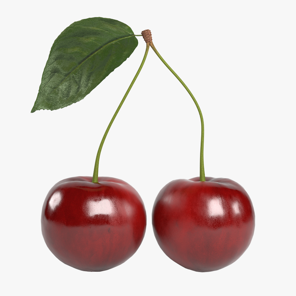 cherries realistic