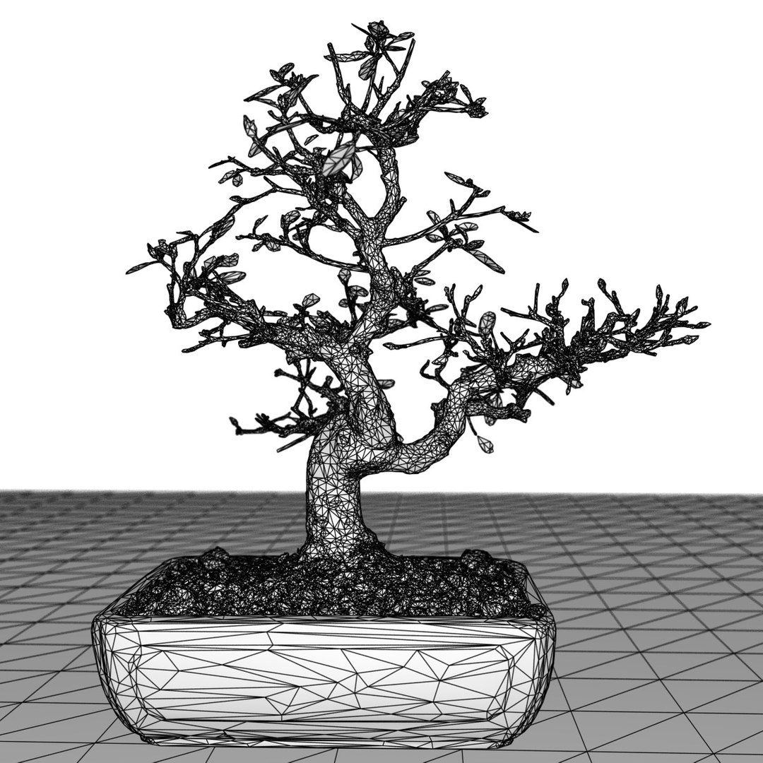 Bonsai Tree 3D Model - TurboSquid 1154317