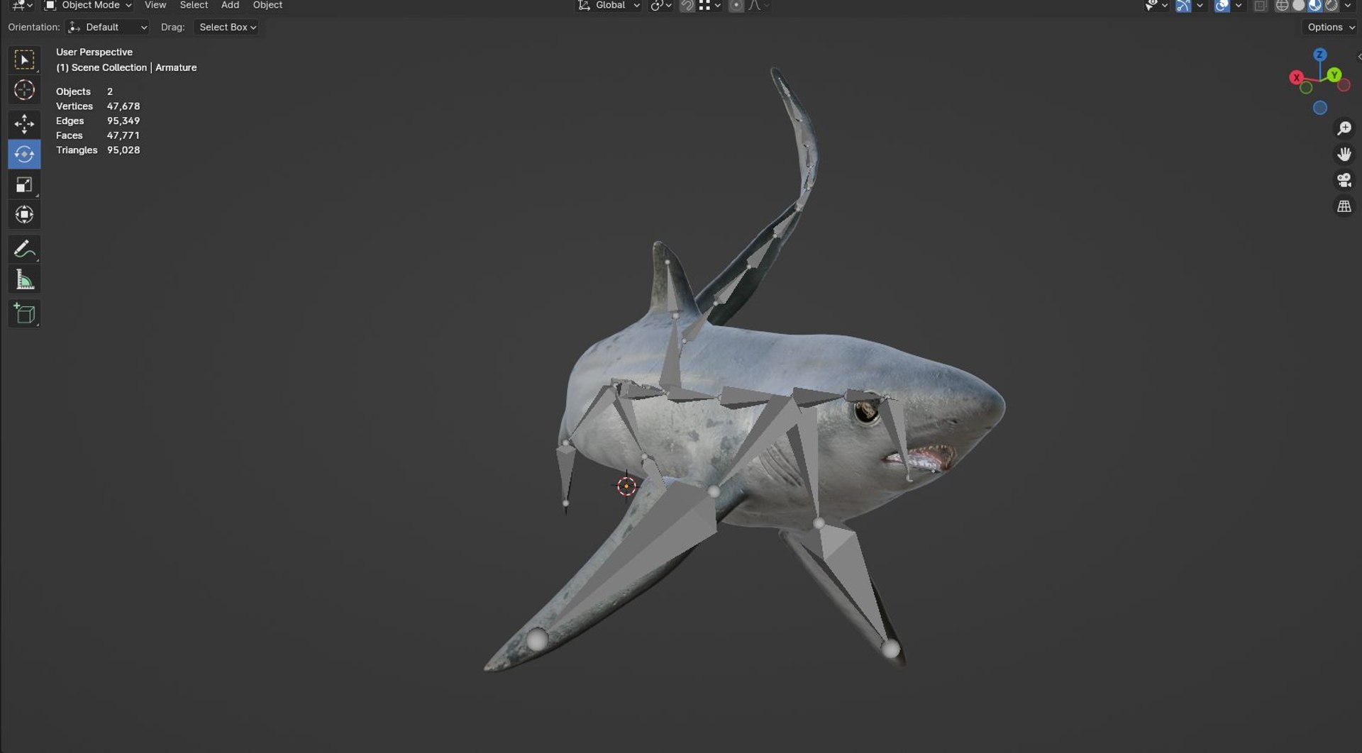 3D Thresher Shark Alopias Vulpinus - TurboSquid 2392599