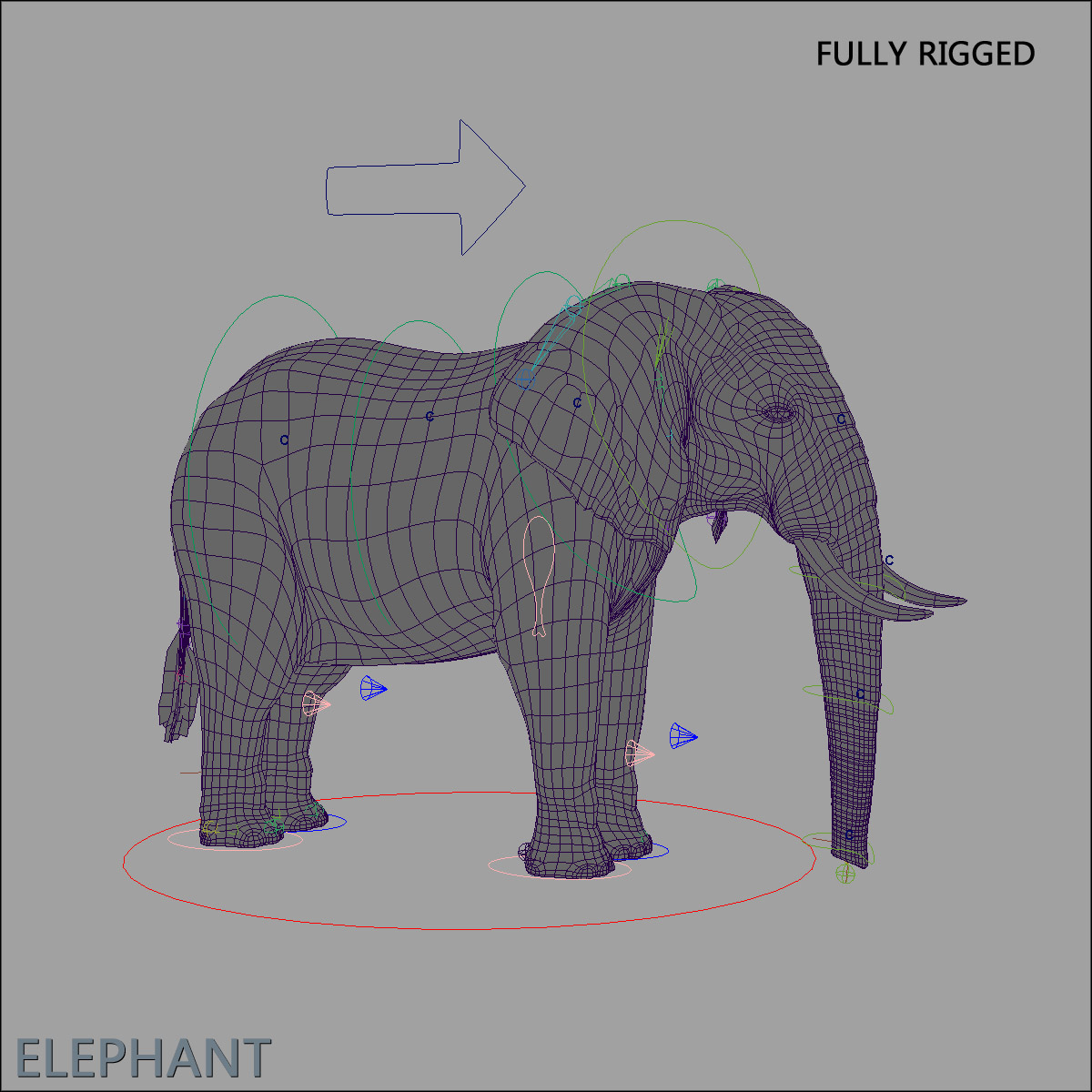 photorealistic african elephant animation ma