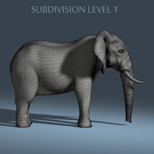 photorealistic african elephant animation ma