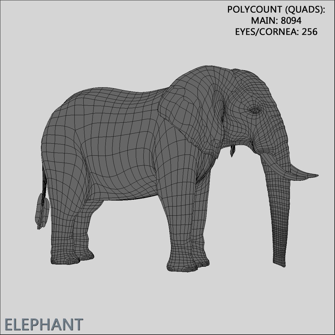 photorealistic african elephant animation ma