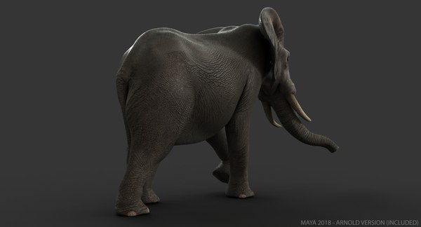 photorealistic african elephant animation ma