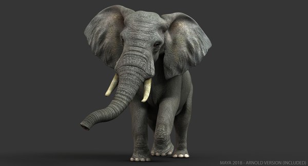 photorealistic african elephant animation ma