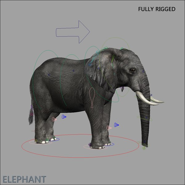 photorealistic african elephant animation ma