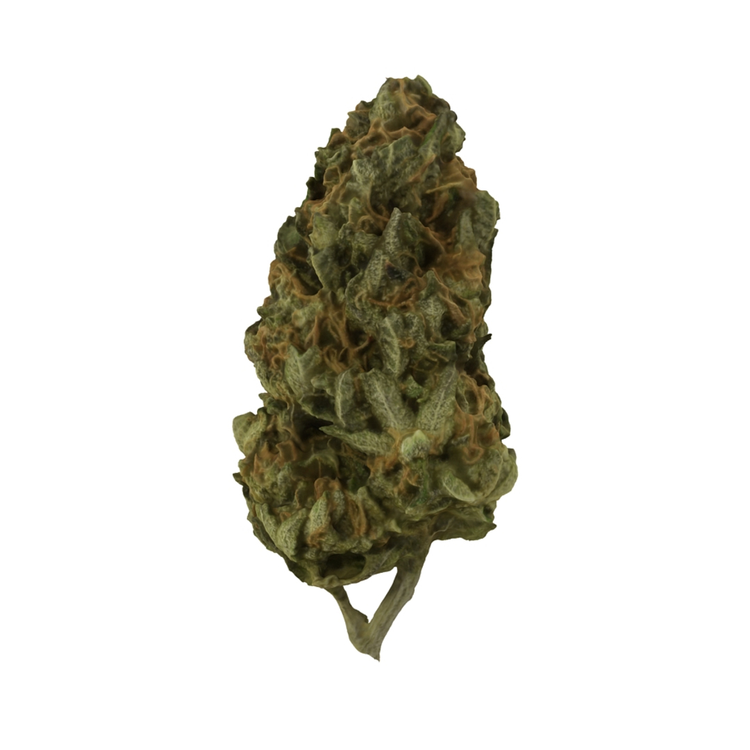 3d Cannabis Bud