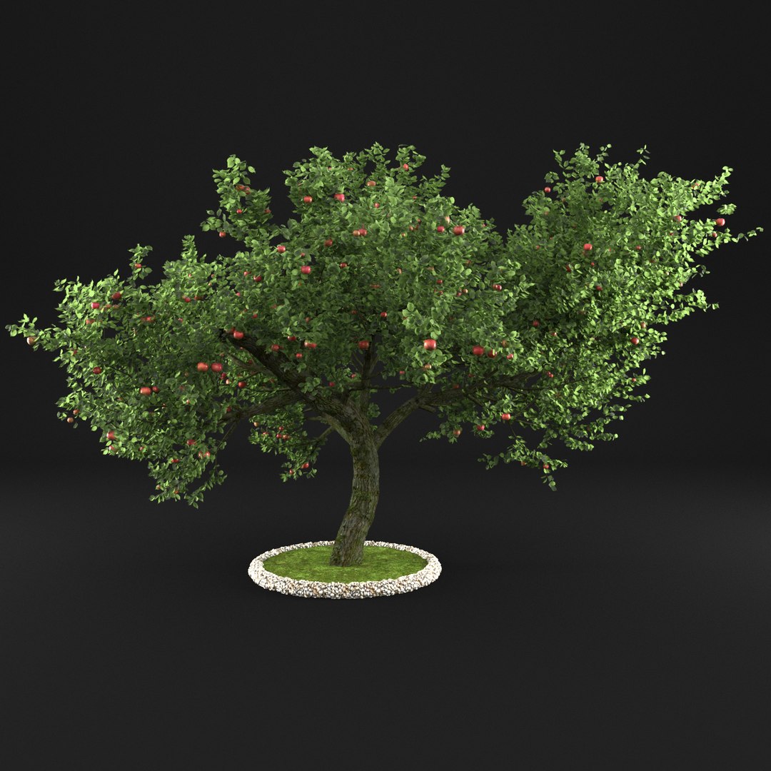 Apple Tree 3D Model - TurboSquid 1159242