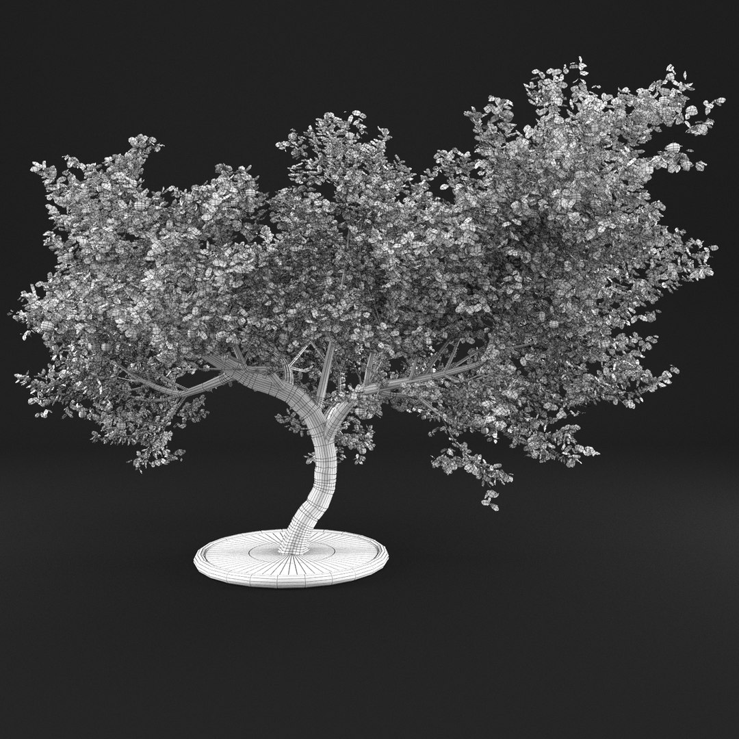 Apple Tree 3D Model - TurboSquid 1159242
