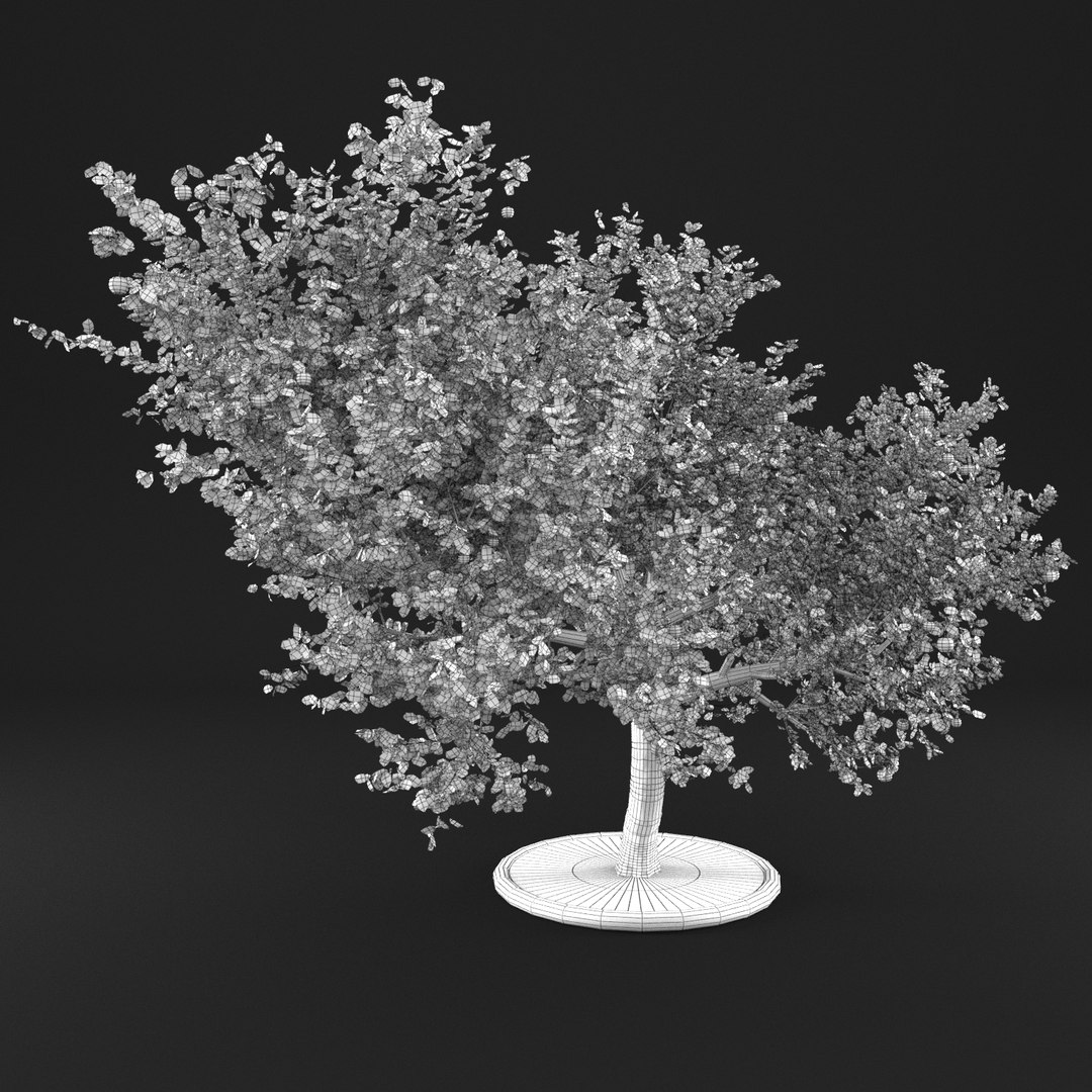 Apple Tree 3D Model - TurboSquid 1159242