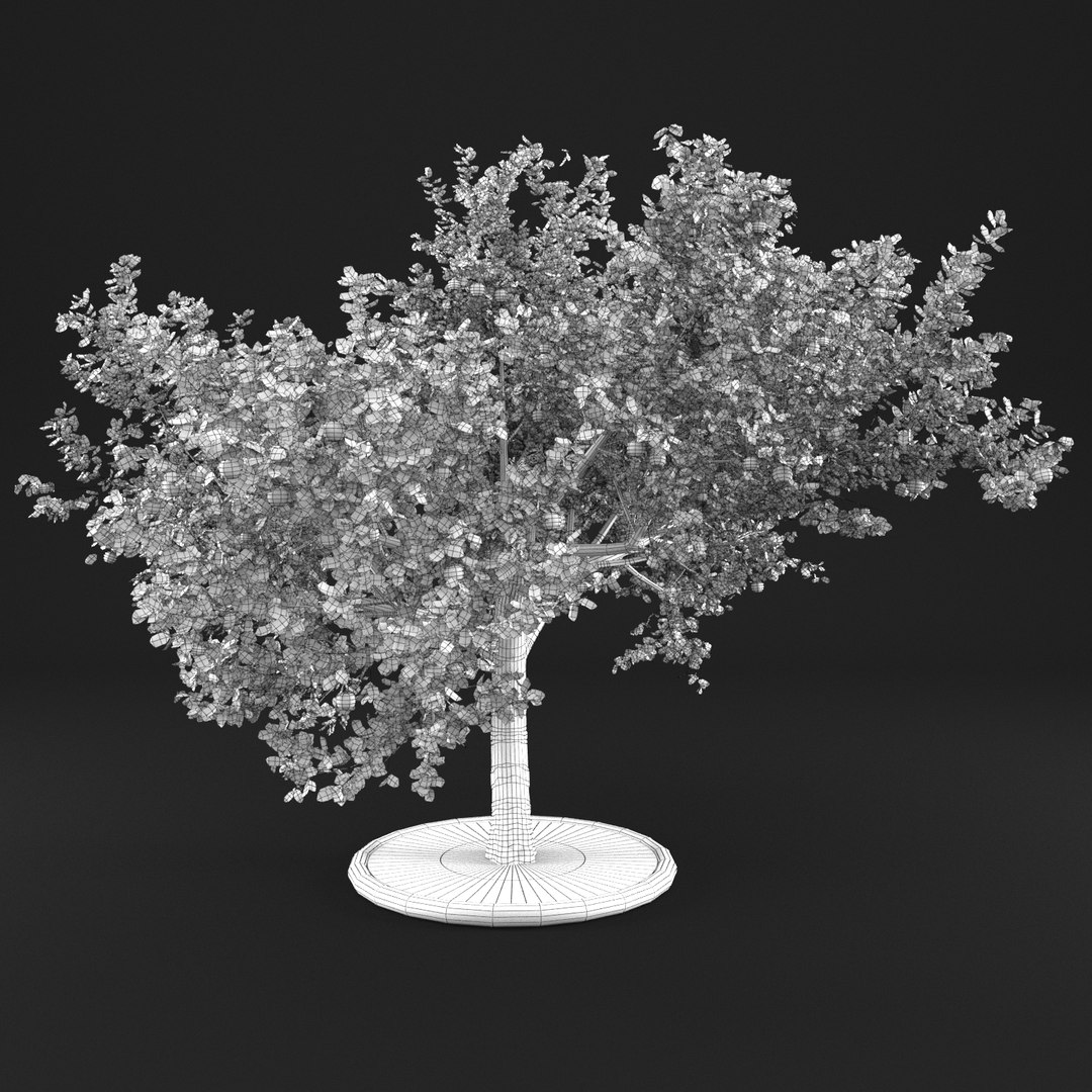 Apple Tree 3D Model - TurboSquid 1159242