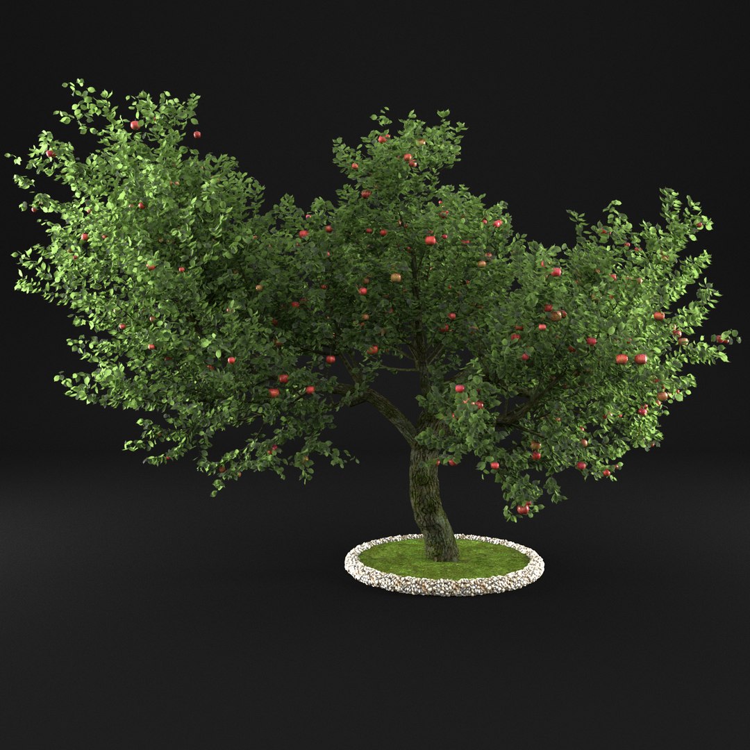 Apple Tree 3D Model - TurboSquid 1159242