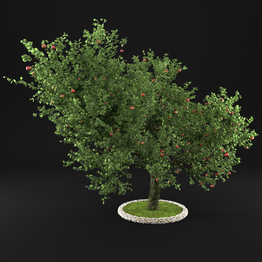 Apple Tree 3D Model - TurboSquid 1159242