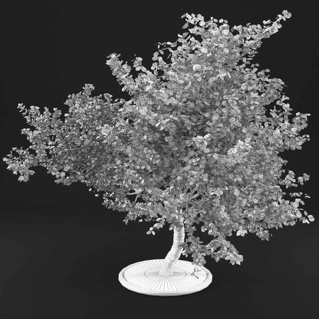 Apple Tree 3D Model - TurboSquid 1159242