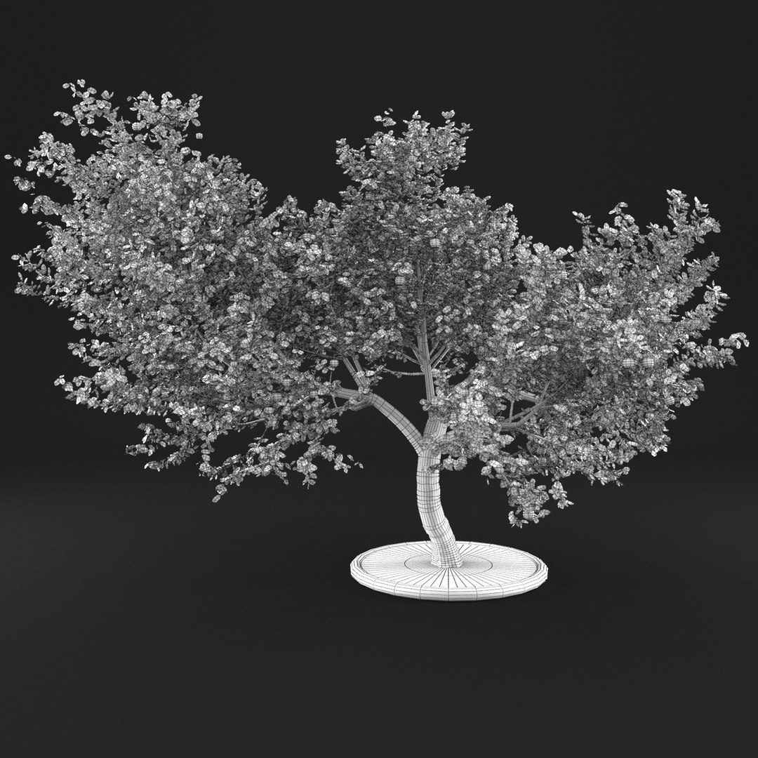 Apple Tree 3D Model - TurboSquid 1159242