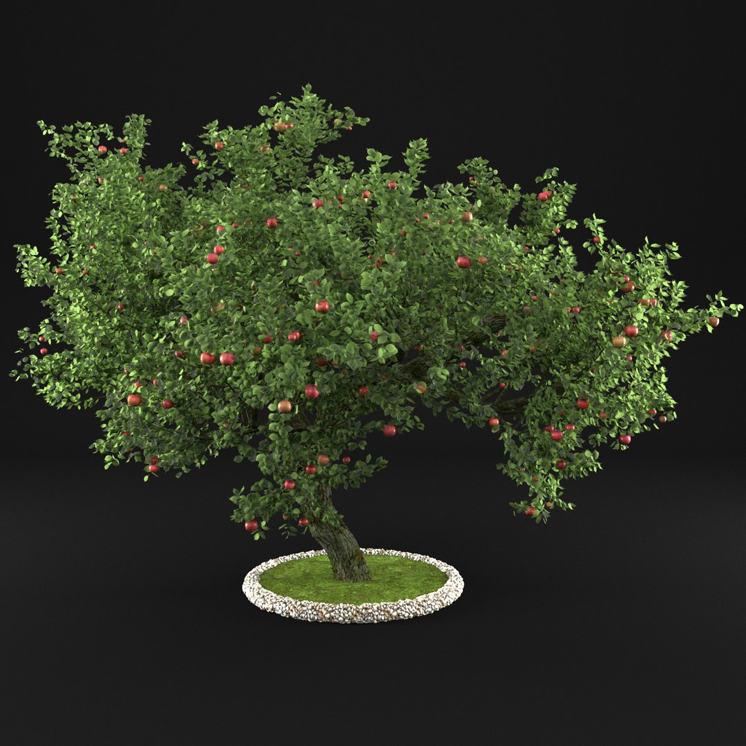 Apple Tree 3D Model - TurboSquid 1159242