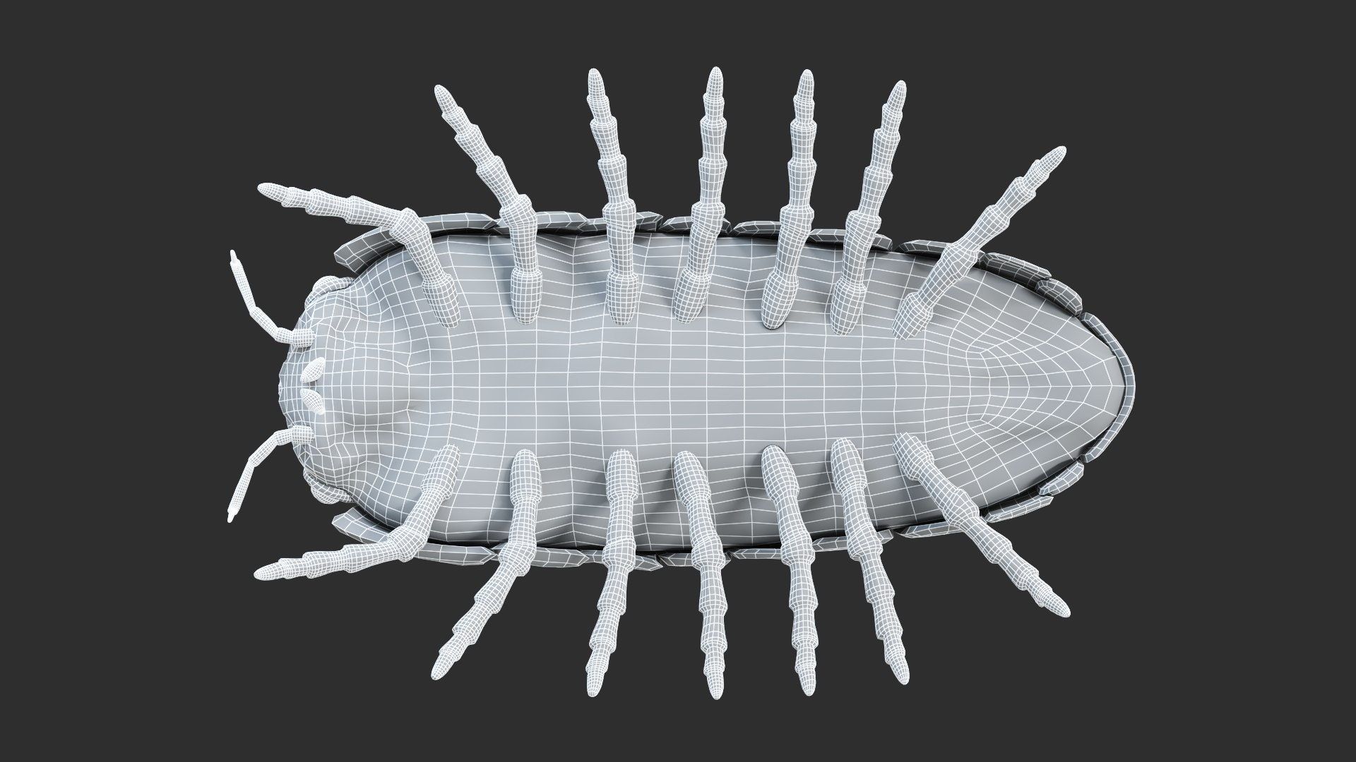 3D Pill Bug - TurboSquid 1970134