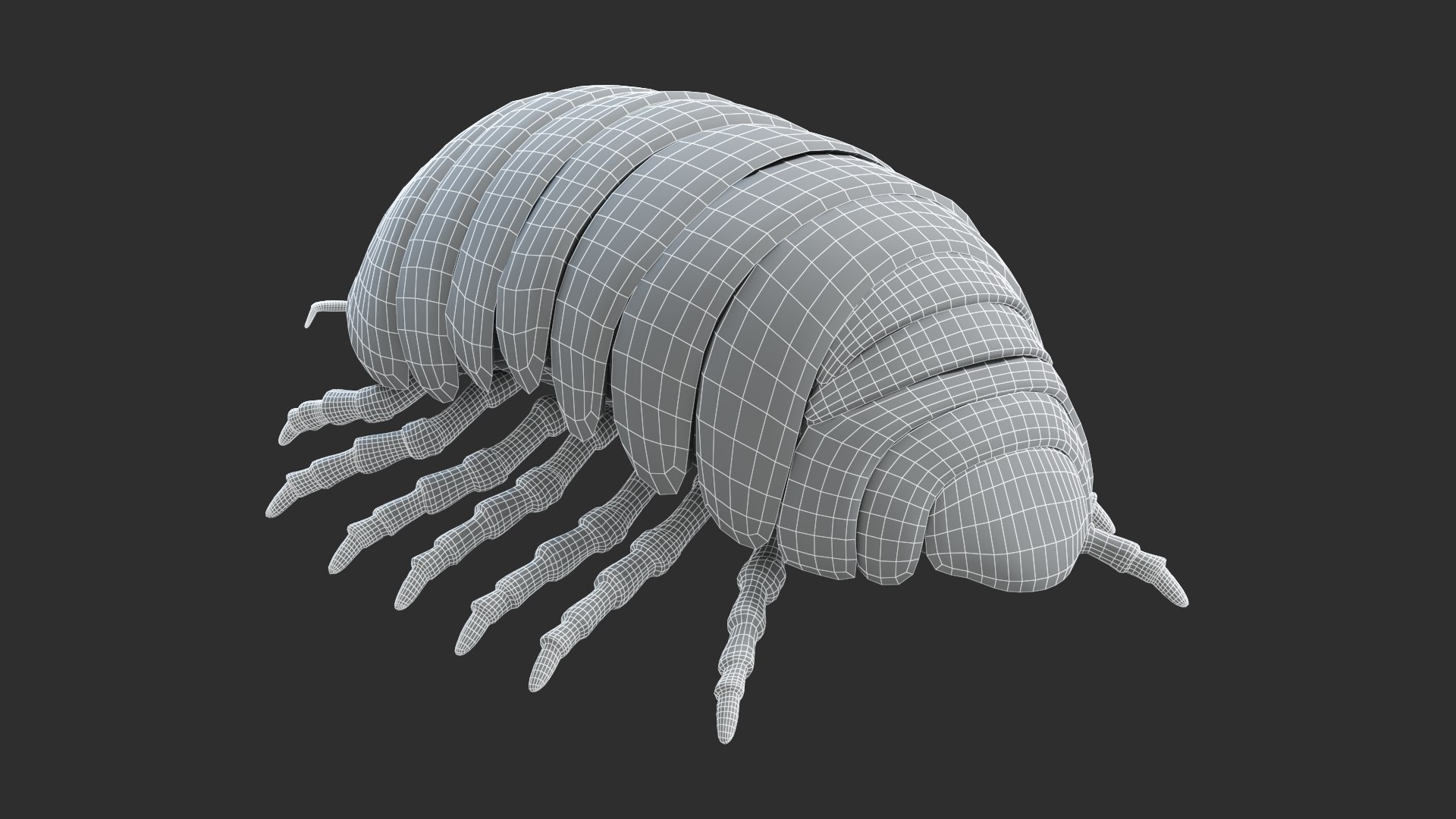 3D Pill Bug - TurboSquid 1970134
