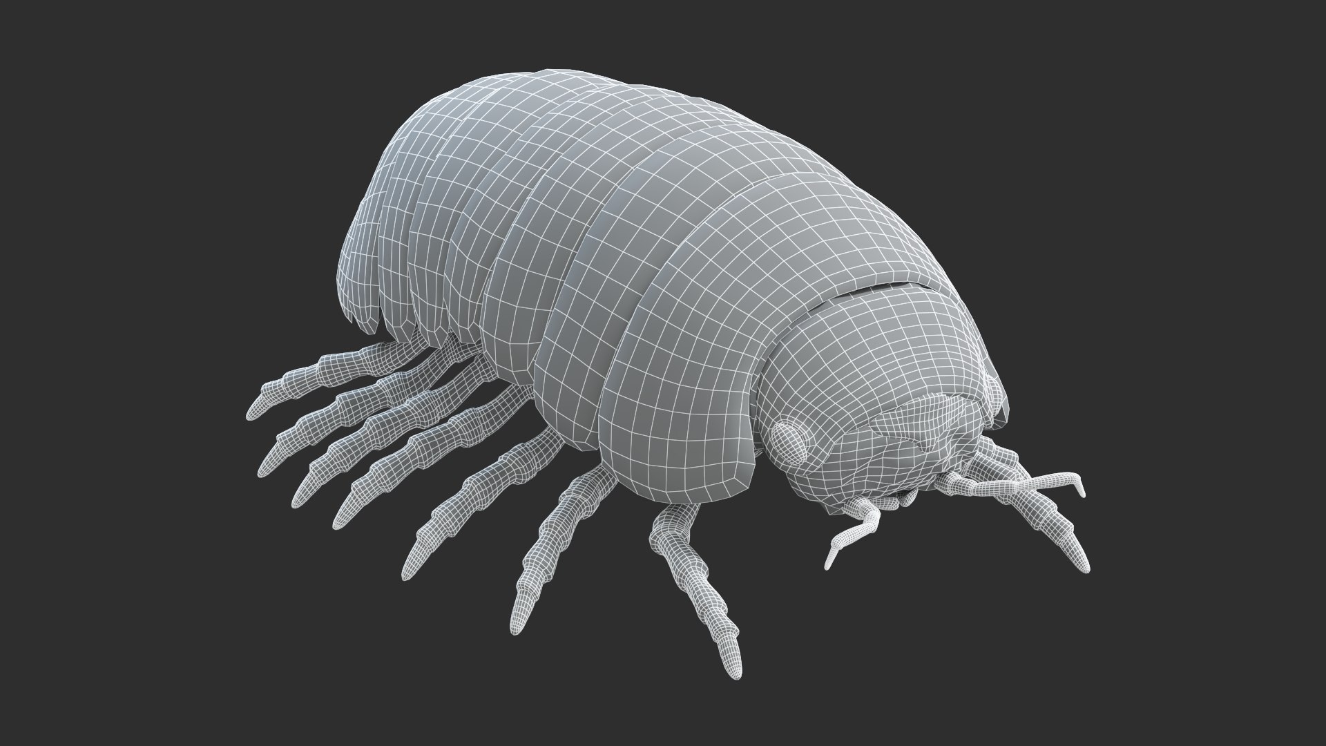 3D Pill Bug - TurboSquid 1970134