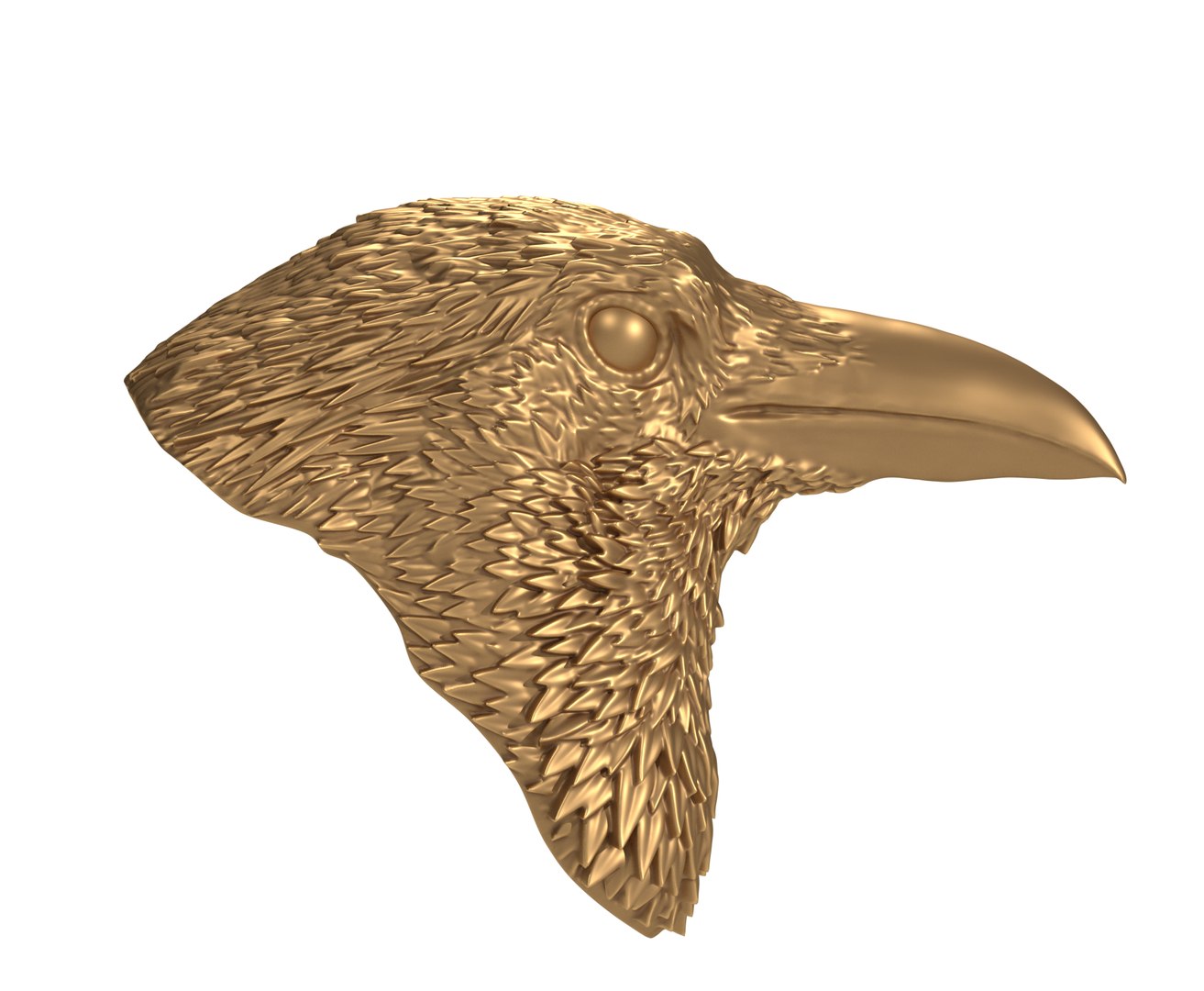 3d Raven Head Model