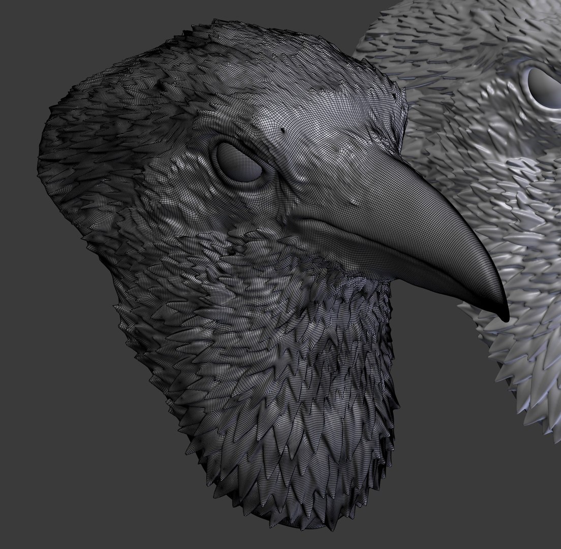 3d Raven Head Model