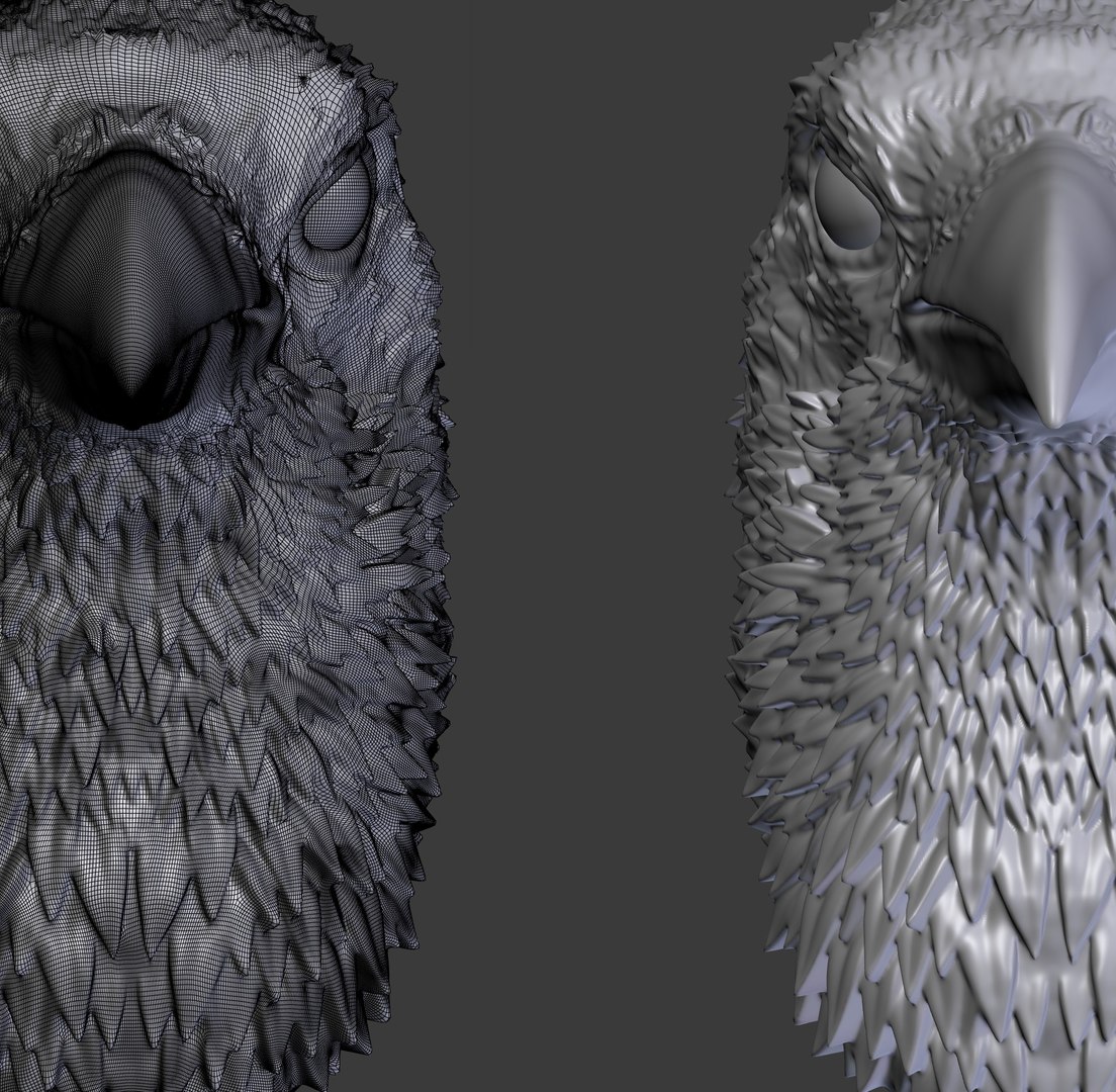 3d Raven Head Model