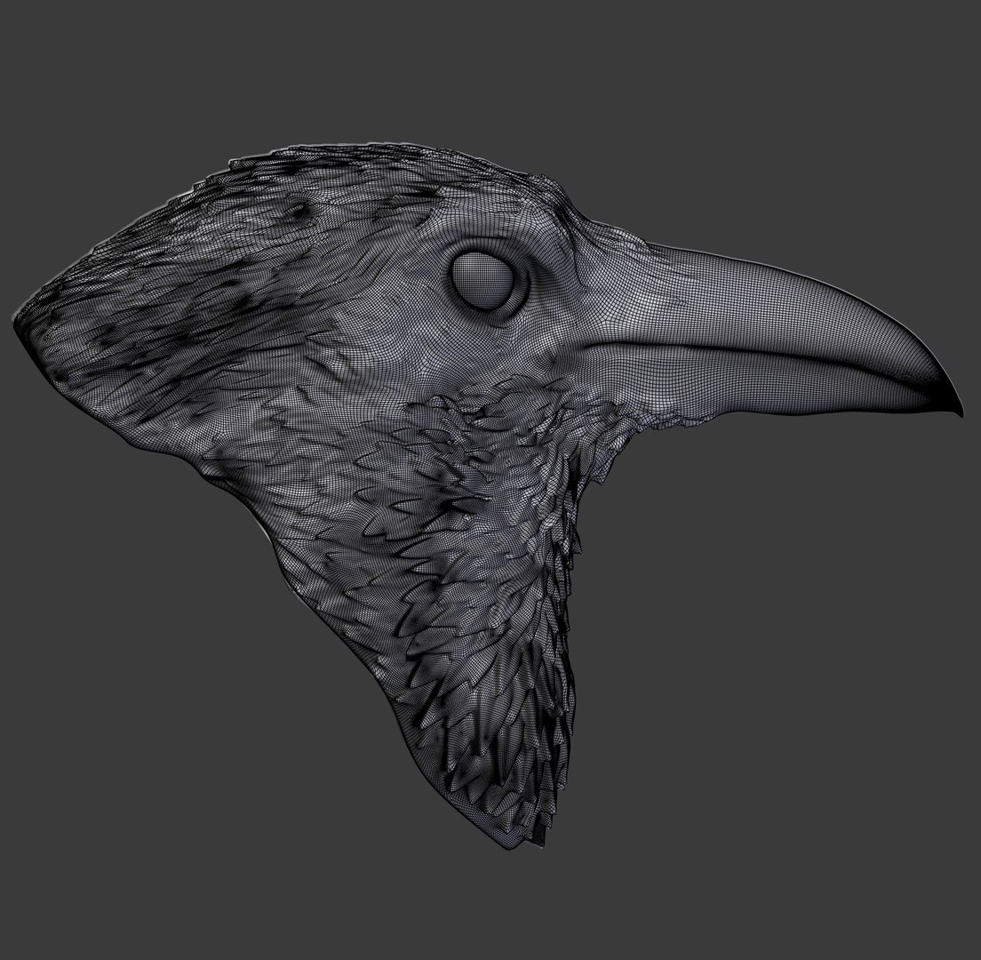 3d Raven Head Model