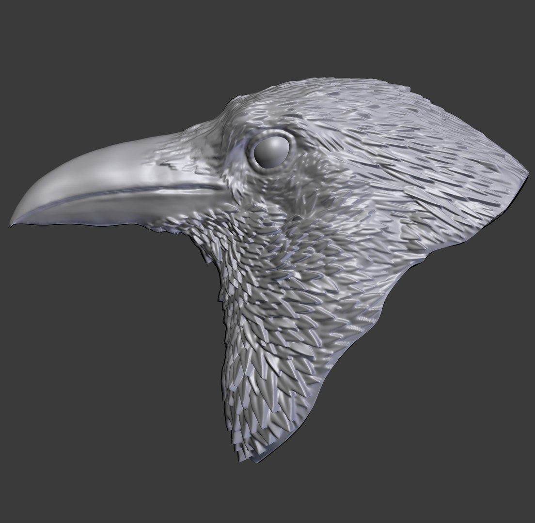 3d Raven Head Model