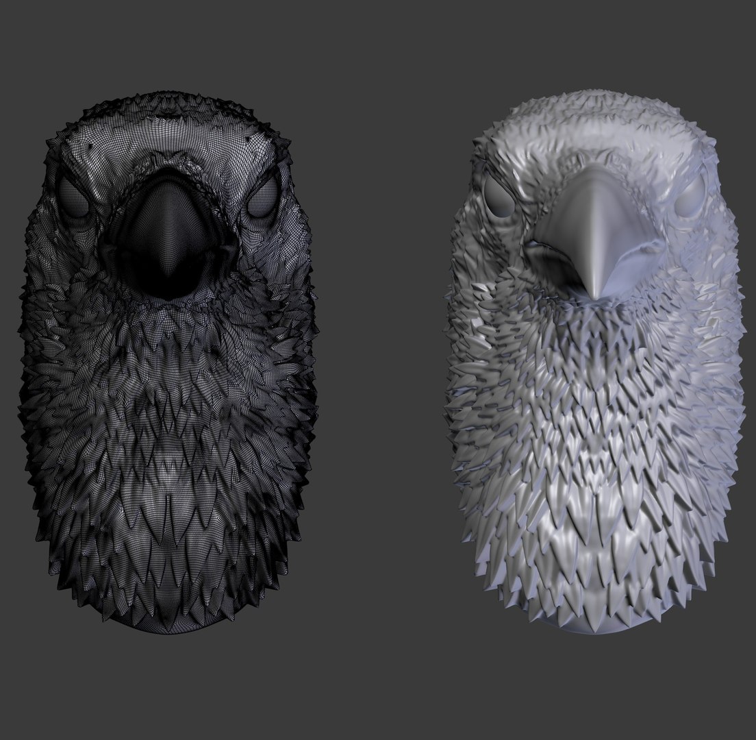 3d Raven Head Model