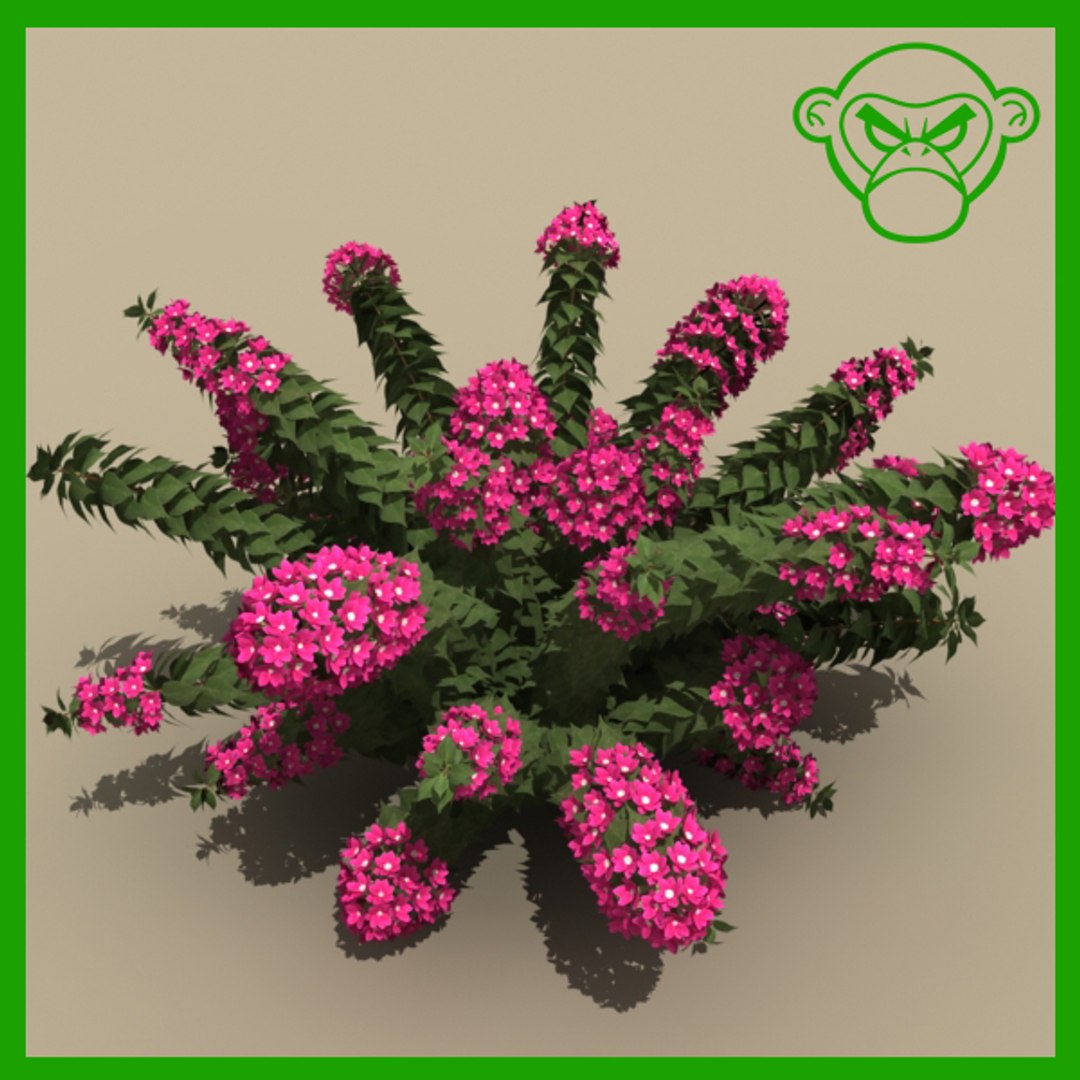 maya small plant set