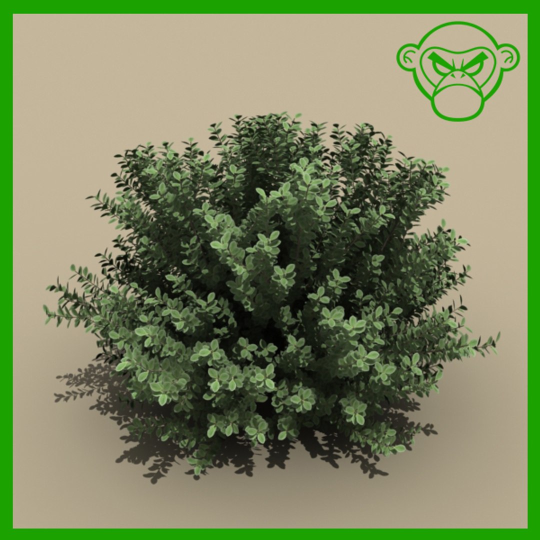 maya small plant set