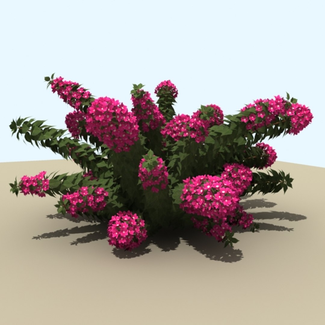 maya small plant set